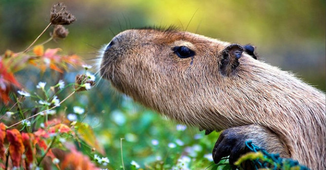 Si haces click en esta noticia Maduro toma medidas y el país se ...