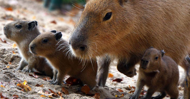 Si haces click en esta noticia Maduro toma medidas y el país se ...