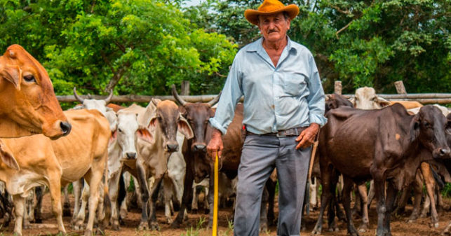Llanero homofóbico cumple 25 años sin comer carne en vara porque eso ...
